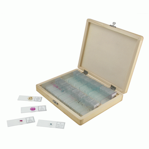 Prepared Microscope Slides 100 piece set Microscope Accessory